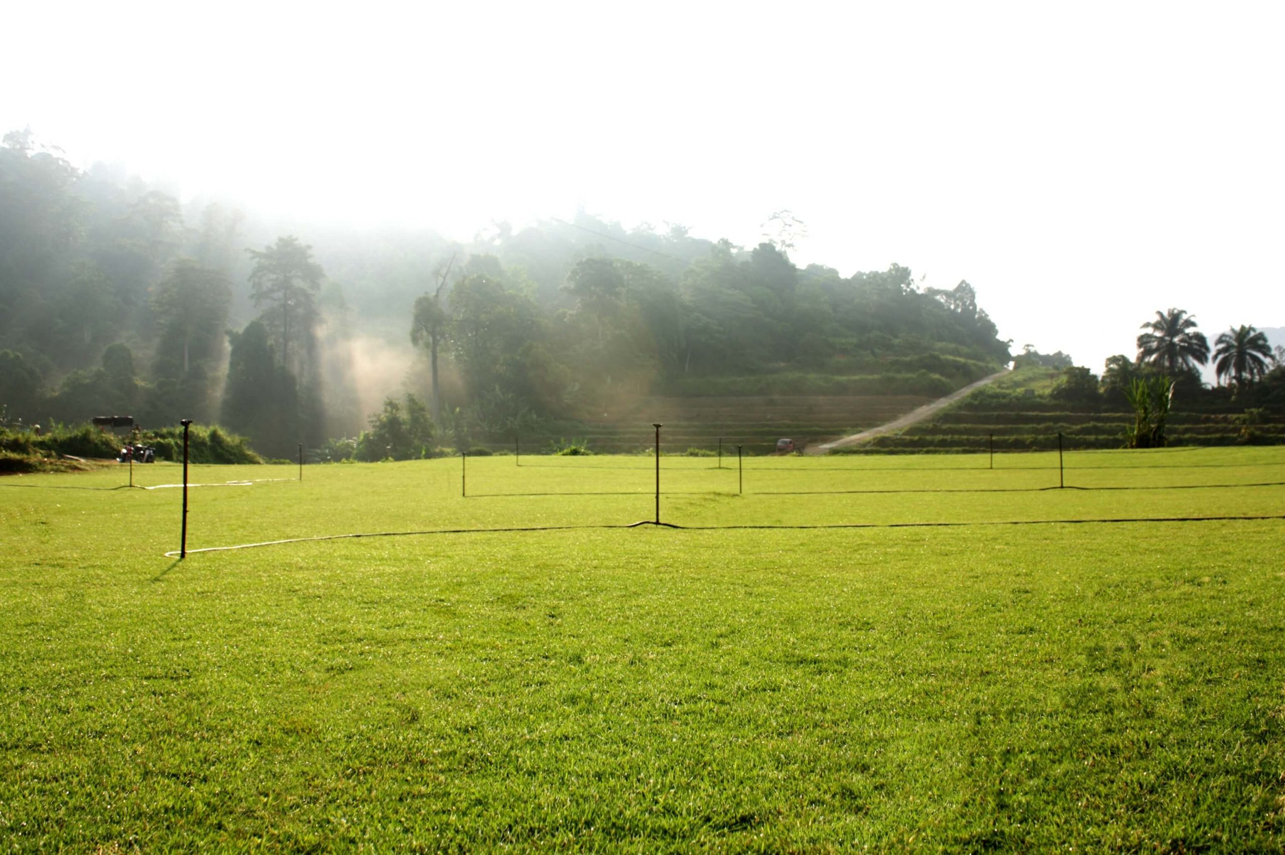 Four Seasons Landscape Sdn Bhd
